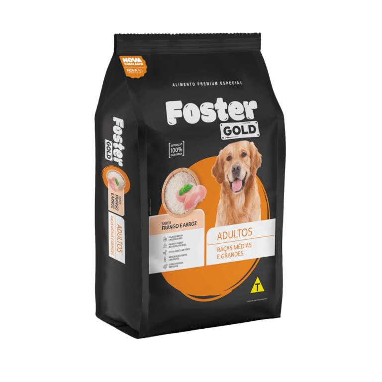 Arquivo de Cães - Foster